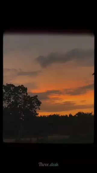 bunkr.suu & bunkr.su album search| Discover