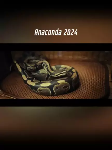 anaconda 2024 ver online gratis & assistir anacond ...| Kwai