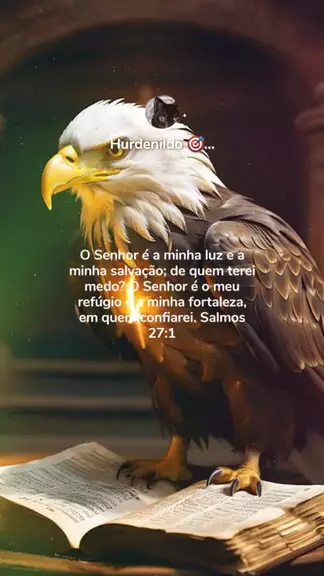 guerreira sabedoria frases de aguia:águias frases ...| Kwai