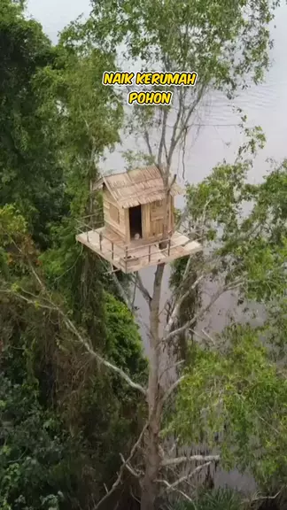 ikan uwak kalimantan | Discover