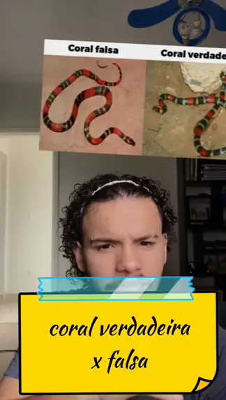 botacoral & coral falsa vs verdadera| Discover