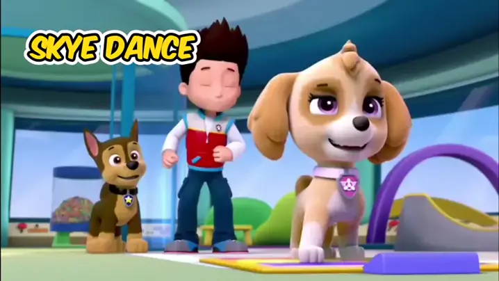 Paw Patrol Skye Gallery Discover