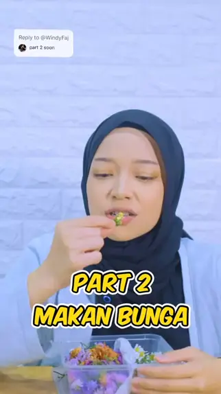 windy.faj | Discover