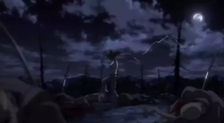 Nejire Afrobull Discover
