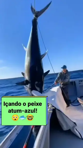 pescaria de atuns azul gigante | Discover