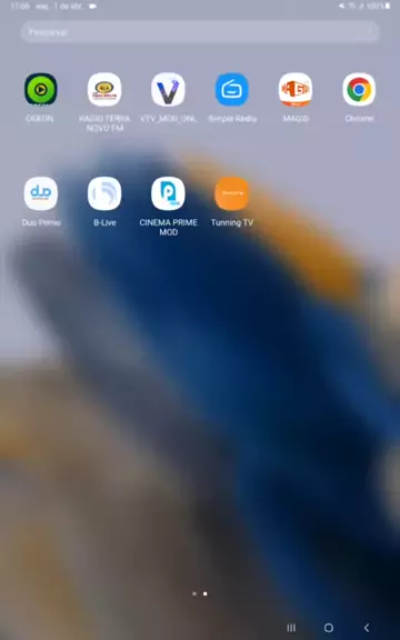 Magis Tv Apk Português Discover