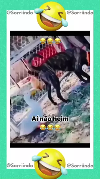 george monito & macaquinho sorrindo meme| Discover