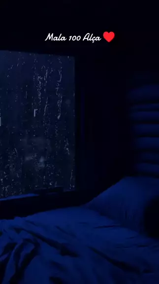 alcamzz+video | Discover