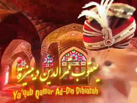 Muhammad Sumbul #kucing #kucingarab