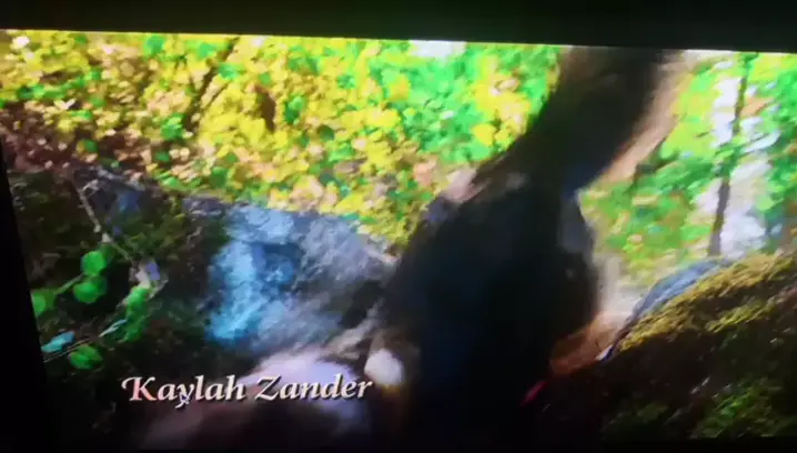 rachel wilson bikini & kaylah zander ass| Discover