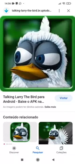 game talking tom cat & talking larry the bird down ...| Kwai