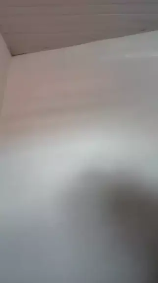 carol ricart | Discover