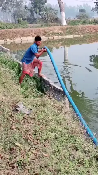 puray animes & thiph phrik phr videos| Discover