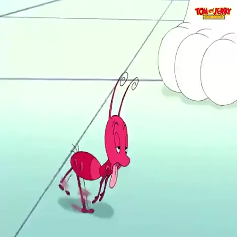 tom and jerry smoking wallpaper hd