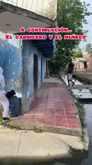 pulpo. 64 | Discover