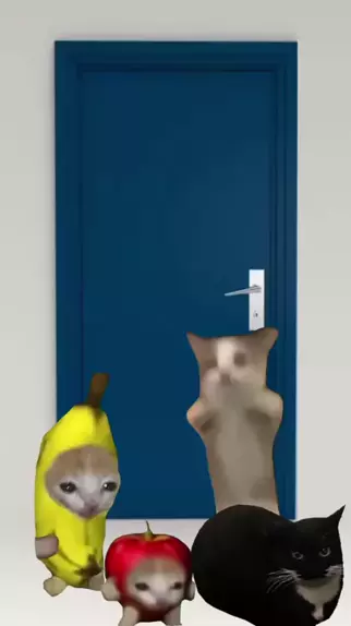 banana cat cry | Discover