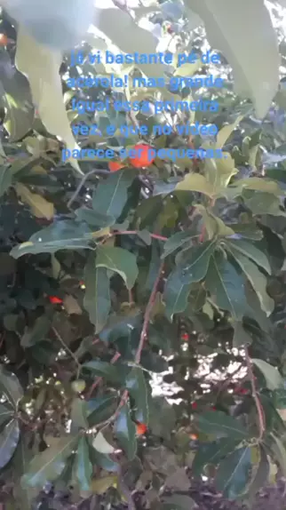 videy videos & videy-co| Discover