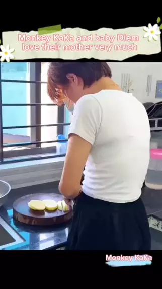 information on monkey kaka and baby diem's home | ...| Kwai