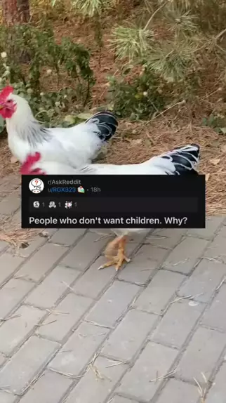 project qt redit & project QT reddit| Discover