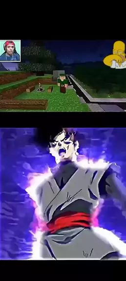 robin minecraft skin hsr