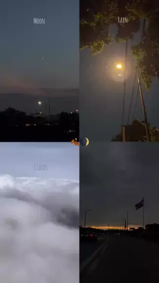 felore moonray | Discover